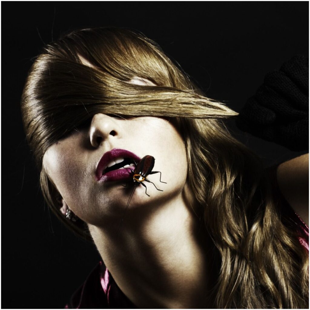 Spiritual Meaning of Cockroaches in Dreams - Insight state