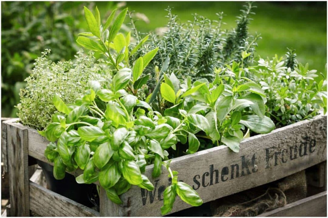 11 Spiritual TED Talks That Will Enrich Your Life - Insight state