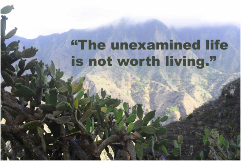 38 Socrates Quotes On Change, Life, And Education - Insight state