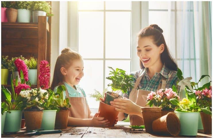 60 Inspiring Quotes about Home - Insight state