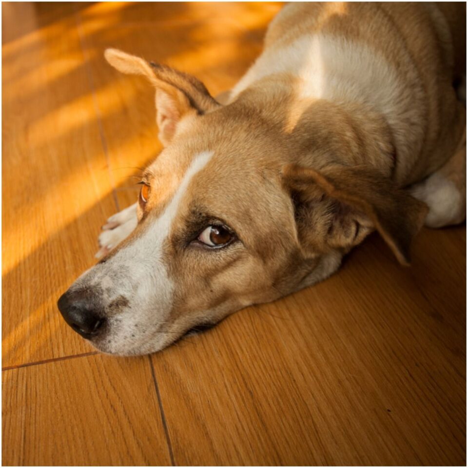 9 Signs Of A Bad Spirit In Your House - Insight state