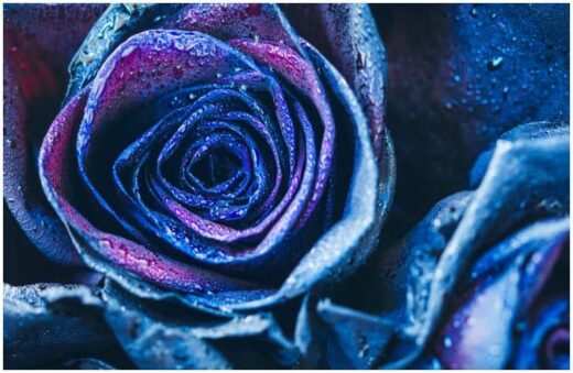 Spiritual Meaning of Colors - Blue, Yellow, Violet, Red, Orange, Green ...