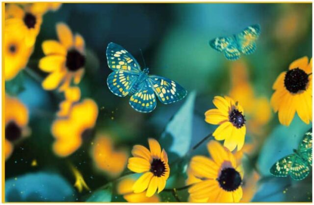 Spiritual Meaning of Colors - Blue, Yellow, Violet, Red, Orange, Green ...