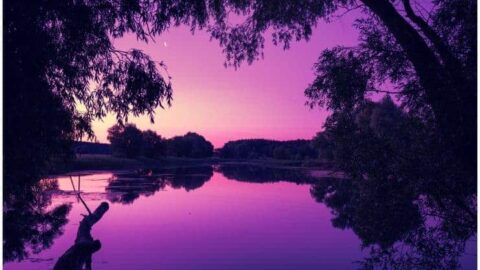 Spiritual Meaning of the Color Purple - Insight state