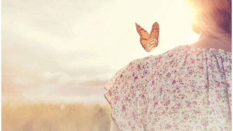 Causal Chakra (or Past Life Chakra) Meaning and Location - Insight state