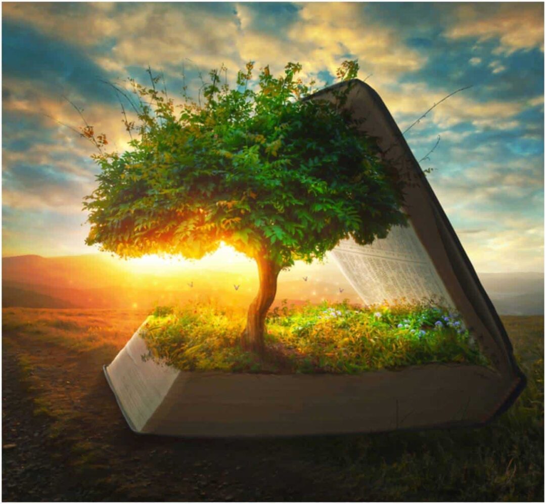 Tree Of Life Spiritual Meaning - Insight state