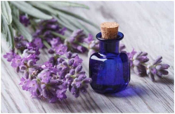 10 Essential Oils For Spiritual Protection & Cleansing - Insight state