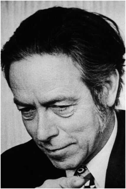 51 Alan Watts Quotes On Life, Love, Nature, and Death - Insight state