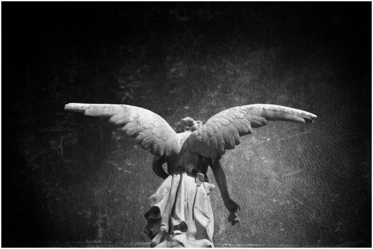How to Recognize an Angel in Human Form? - Insight state