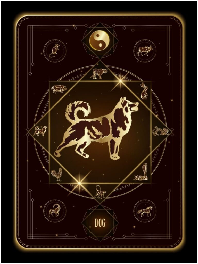 Chinese Zodiac - 12 Animal Signs With Their Meanings - Insight state