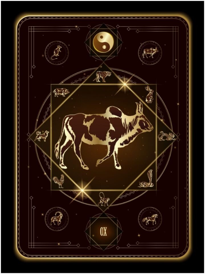 Chinese Zodiac - 12 Animal Signs With Their Meanings - Insight state