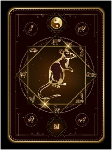 Chinese Zodiac - 12 Animal Signs With Their Meanings - Insight state