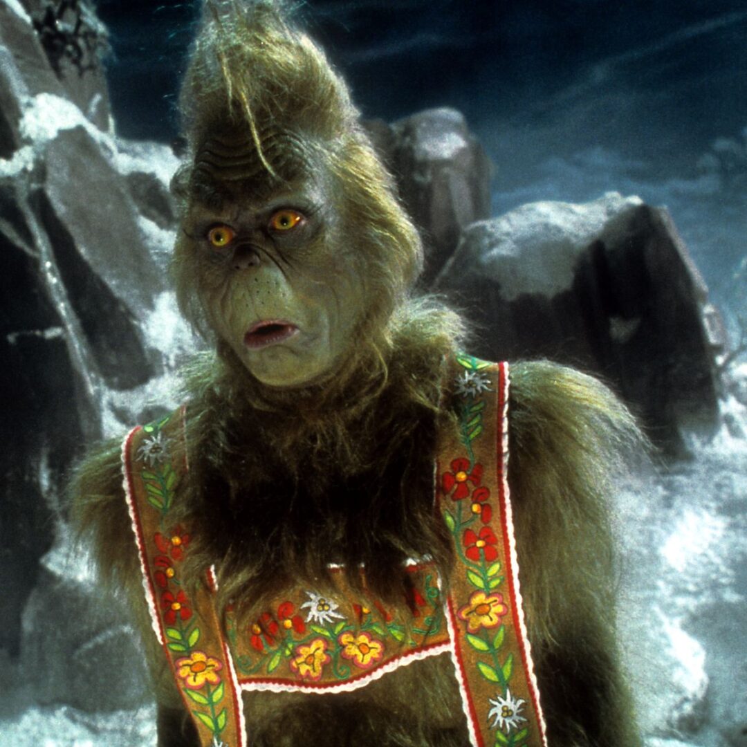 33 Quotes from How the Grinch Stole Christmas! - Insight state