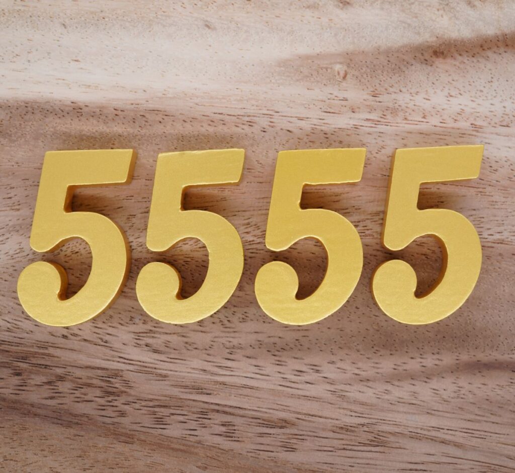 5555 Angel Number Meaning for Twin Flames - Insight state