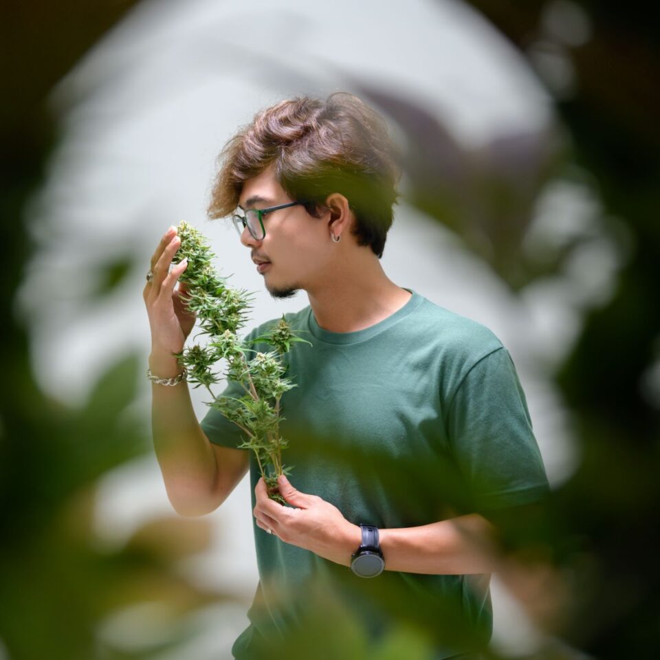 5 Ways to Enjoy the Benefits of Cannabis - Insight state