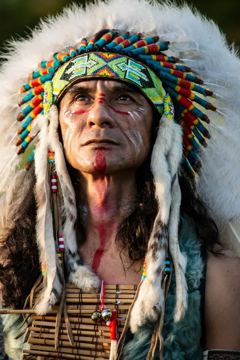 66 Native American Quotes About Nature, Death, And Life - Insight state