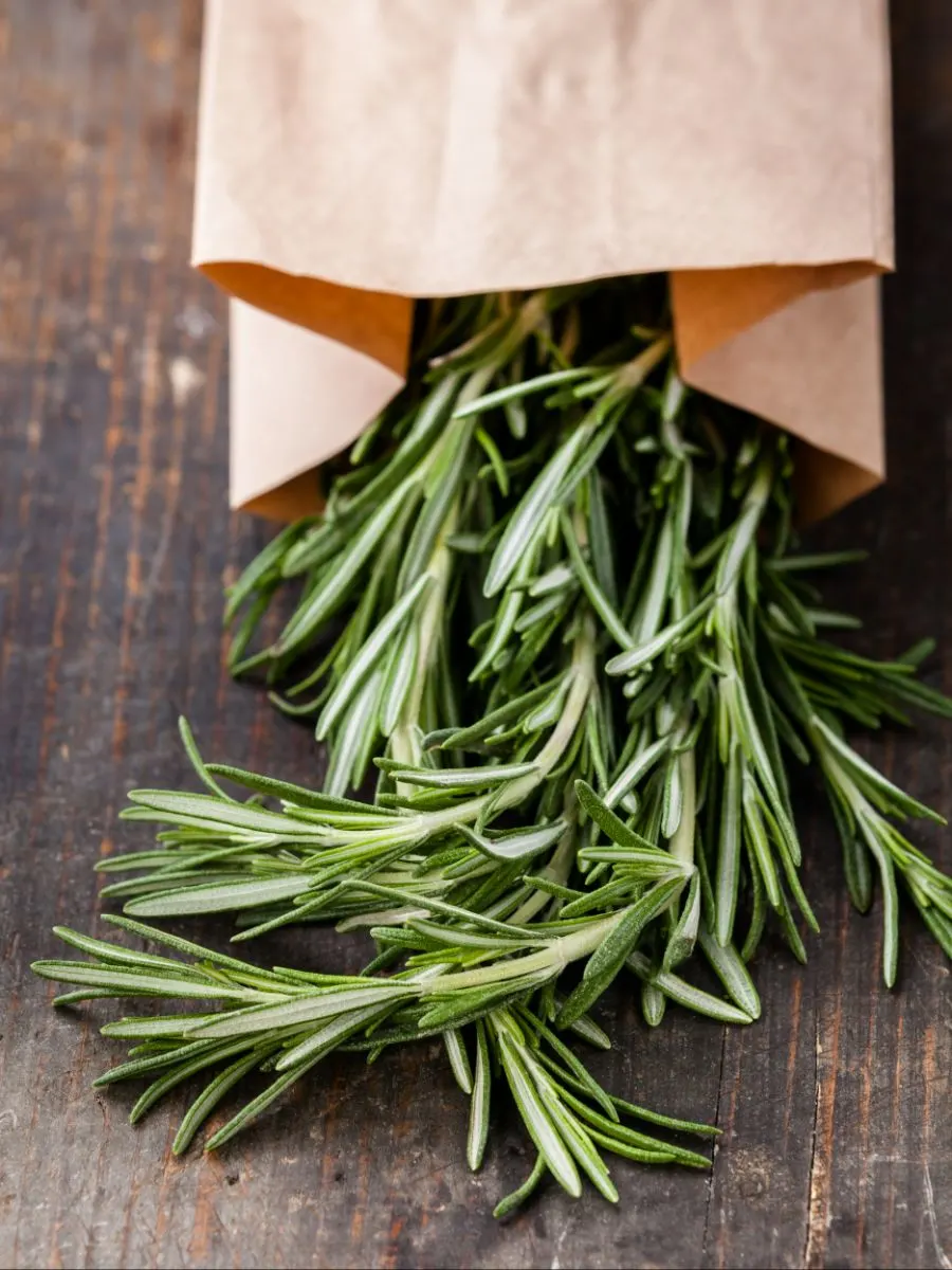 10 Herbs For Good Luck, Prosperity, And Money - Insight state