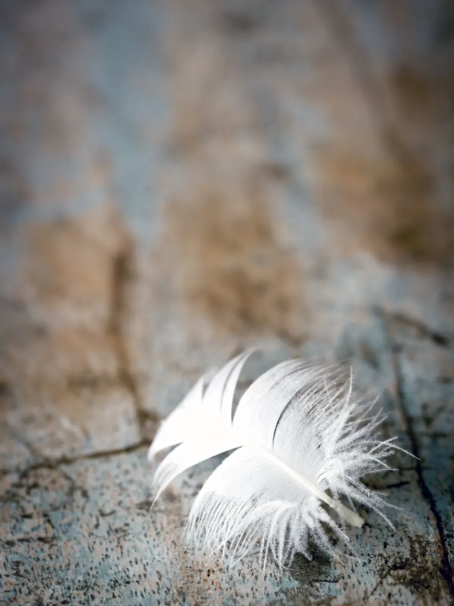 13 Clear Signs A Deceased Loved One Is Near You - Insight state