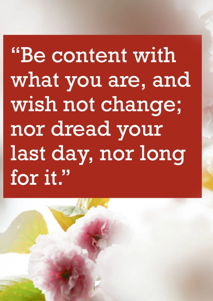 100 Meditations Quotes By Marcus Aurelius - Insight state