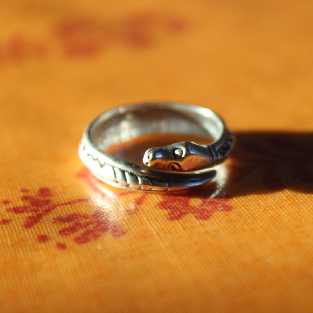 Ouroboros Spiritual Meaning - Insight state