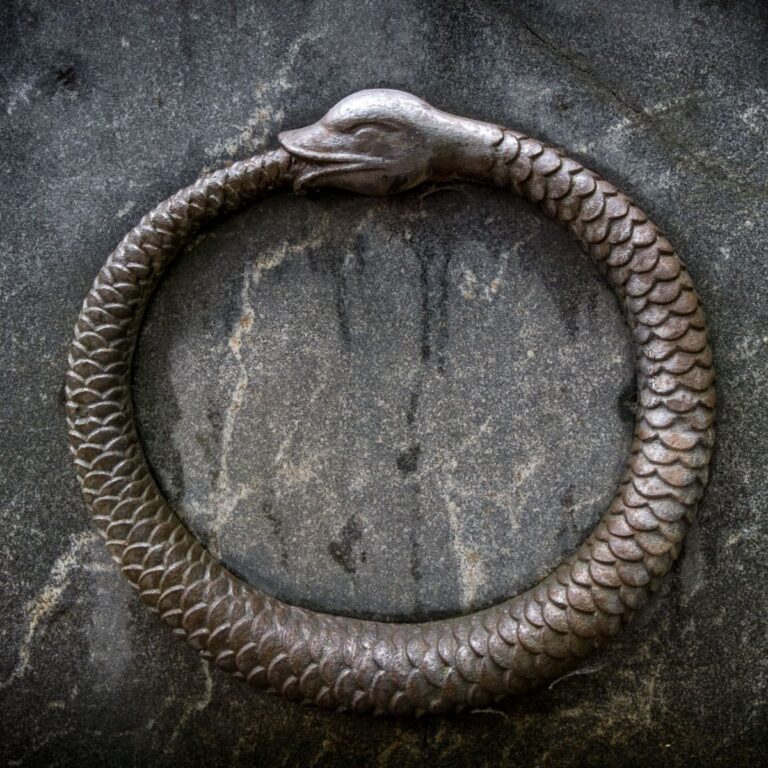 Ouroboros Spiritual Meaning - Insight state