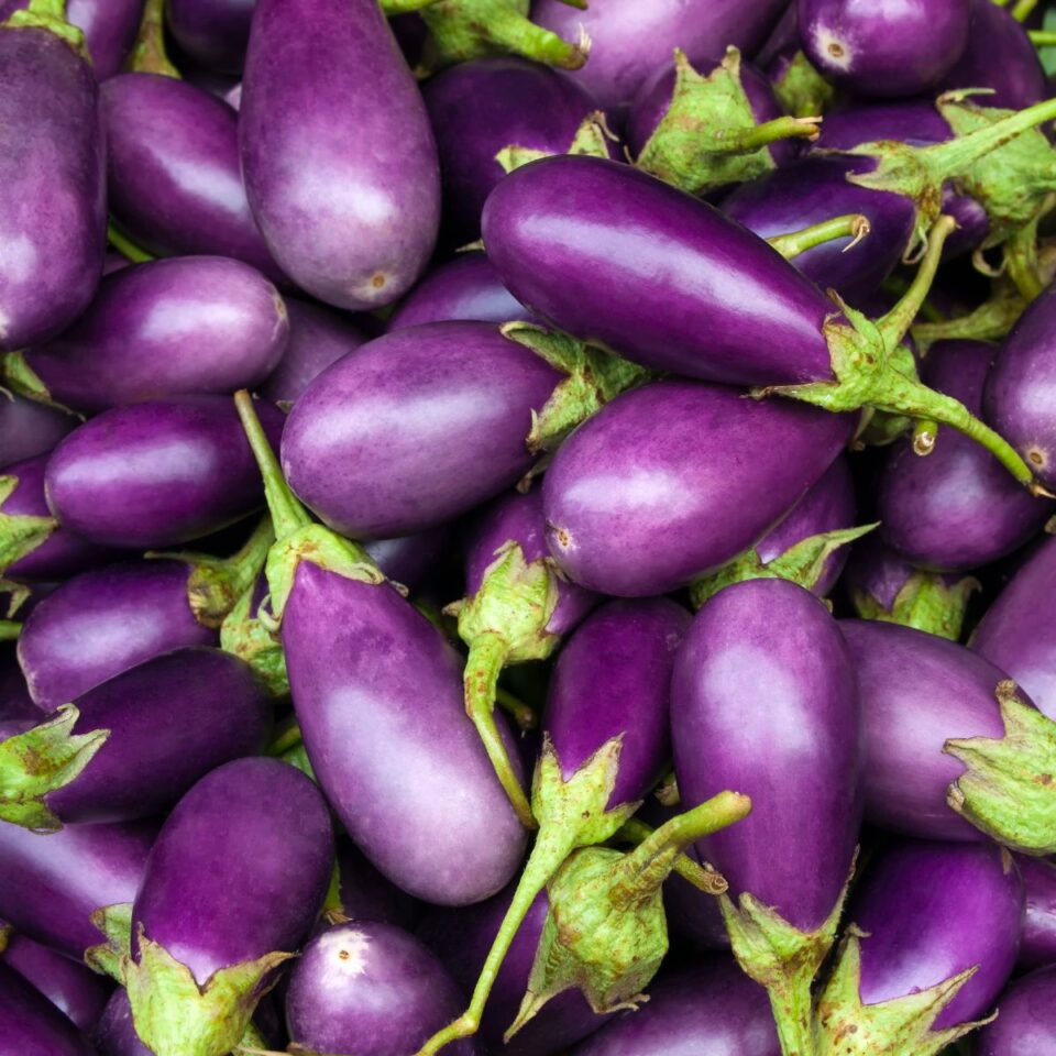 Purple Color Spiritual Meaning - Insight state