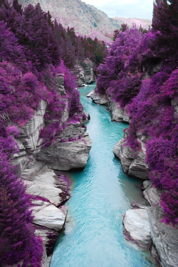 Purple Color Spiritual Meaning - Insight state