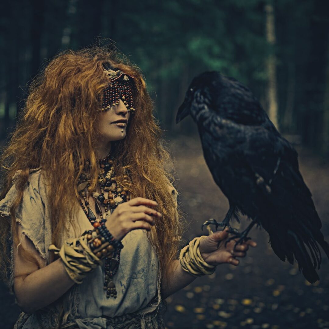 Raven Spiritual Meaning - Insight state