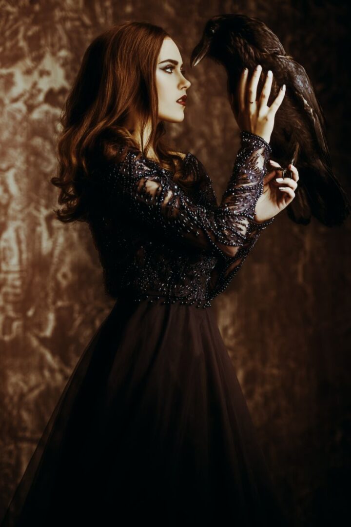 Raven Spiritual Meaning - Insight state