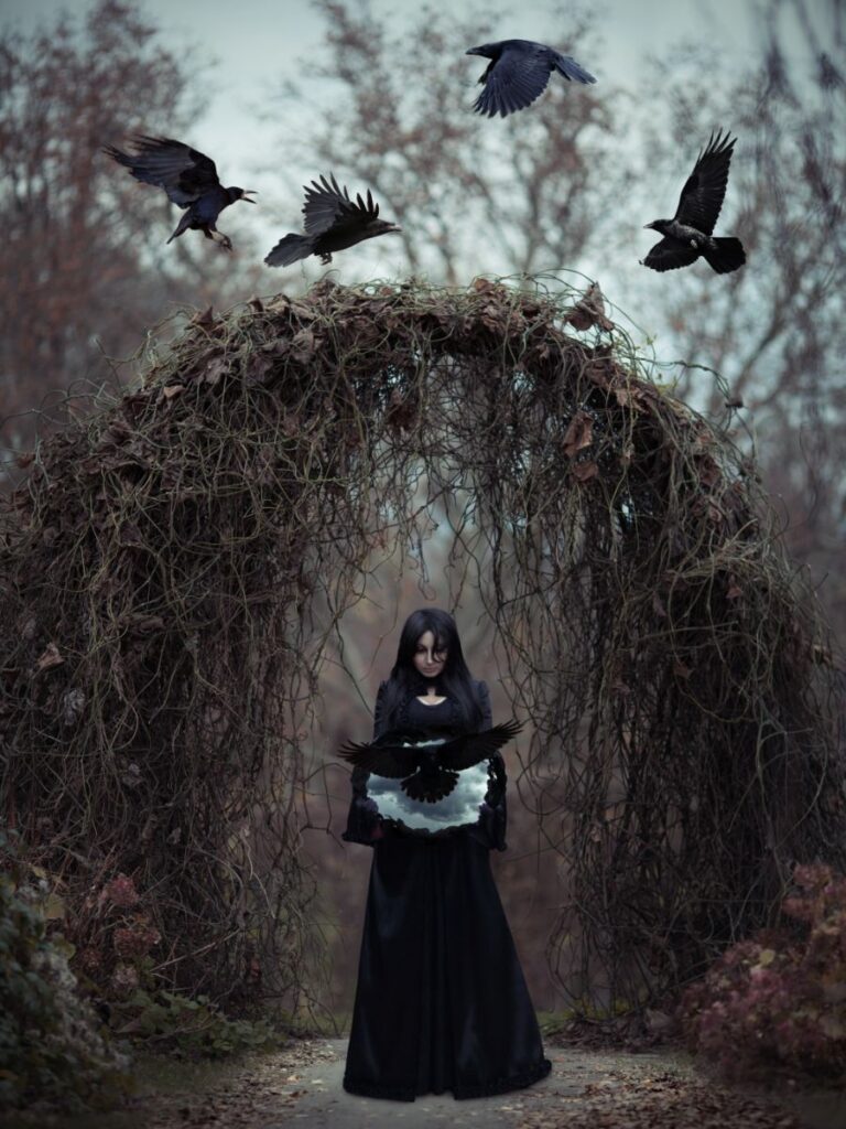 Single Black Crow - Meaning And Symbolism - Insight state