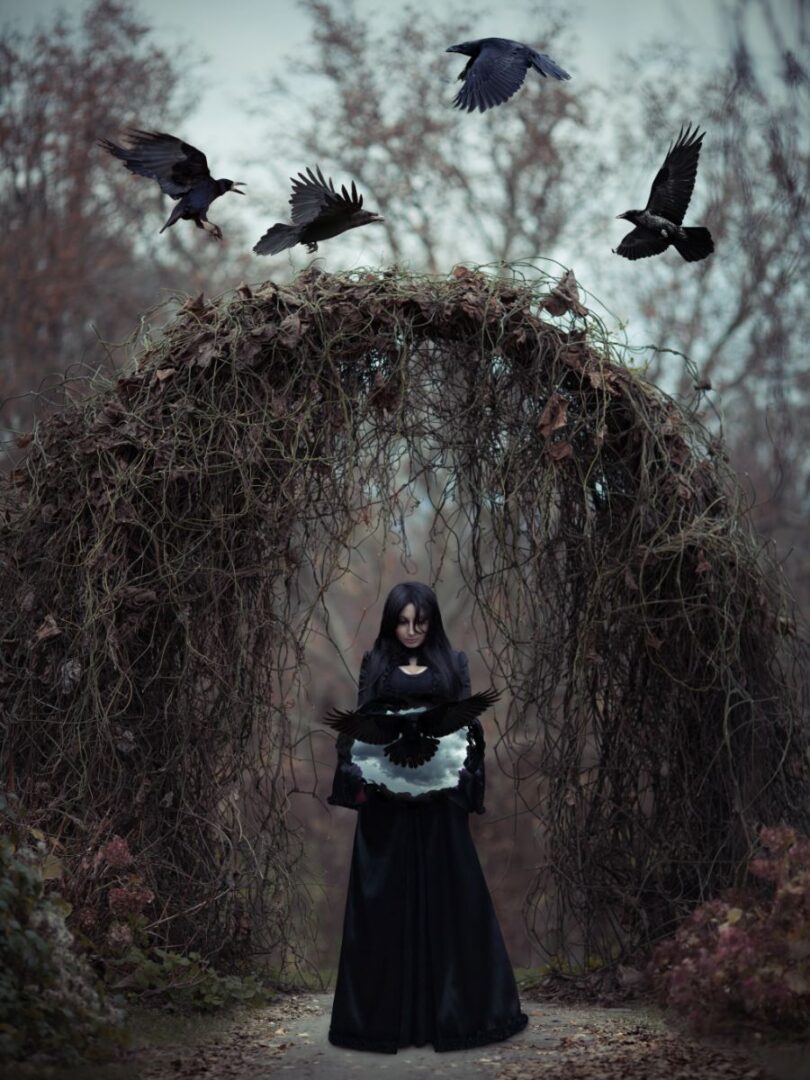 Single Black Crow - Meaning And Symbolism - Insight state