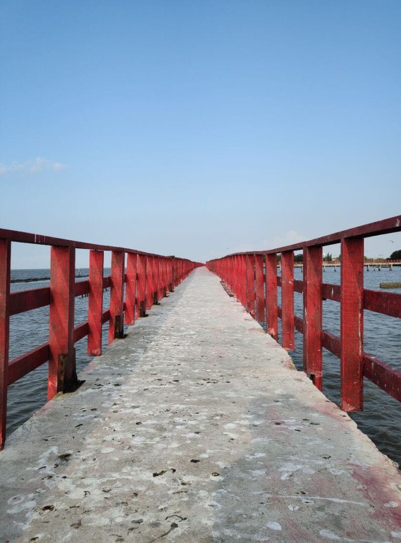 Bird Poop On You Spiritual Meaning - Insight state