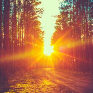 Spiritual Meaning Of The Color Orange - Insight state