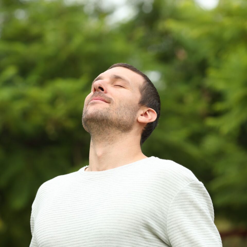 11 Ways To Tame Your Monkey Mind - Insight state