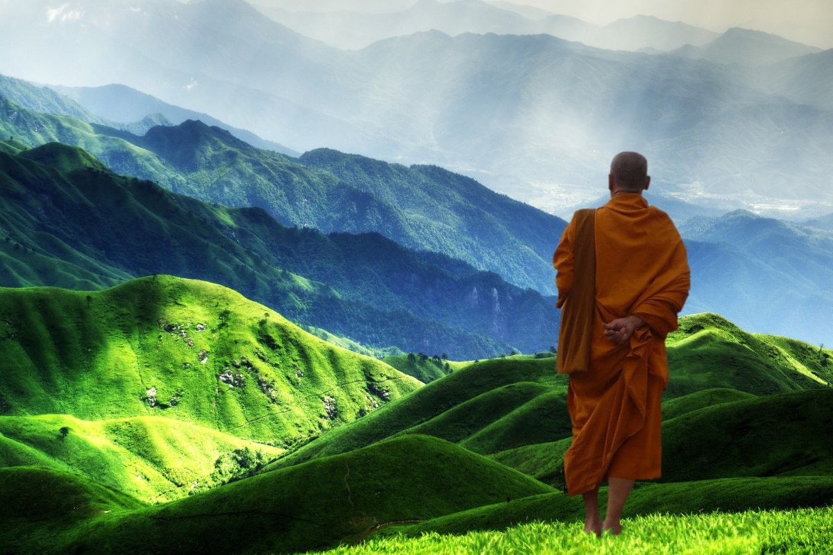 20 Free Will Quotes - Insight state