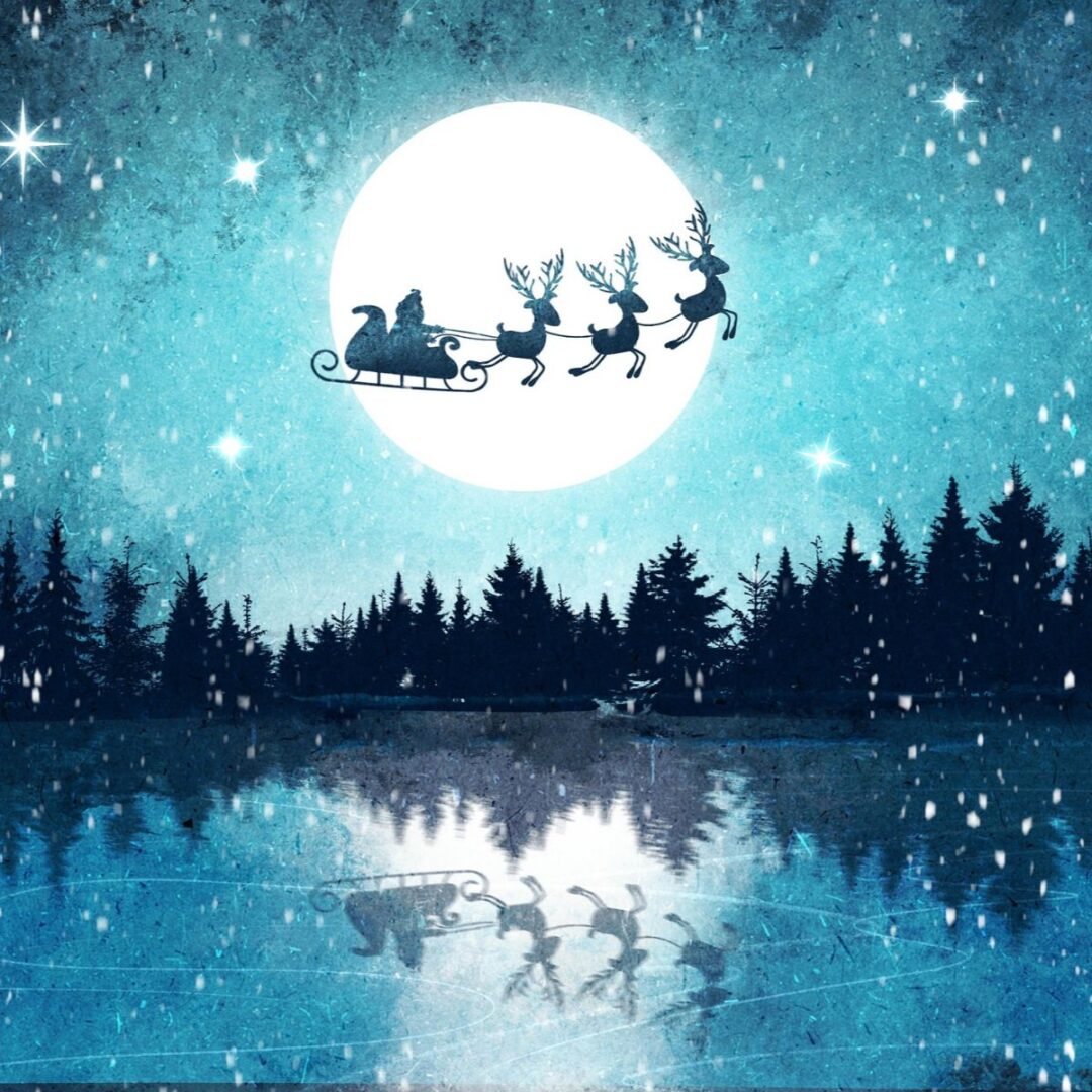 Christmas Tree Spiritual Meaning - Insight state